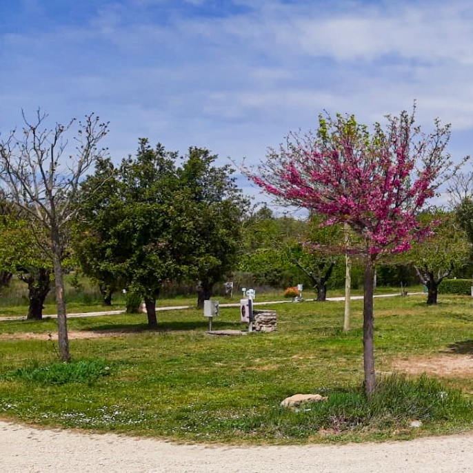 Le camping - Lubea